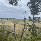 Bushranger Bay Walk, Victoria, Australia - 270 Reviews, Map | AllTrails