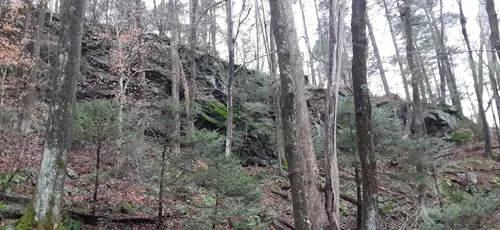 Best 10 Hiking Trails in Mattatuck State Forest | AllTrails
