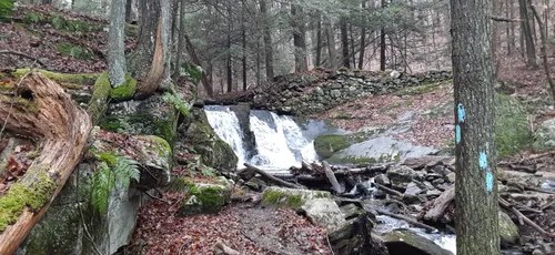 Best 10 Hiking Trails in Mattatuck State Forest | AllTrails