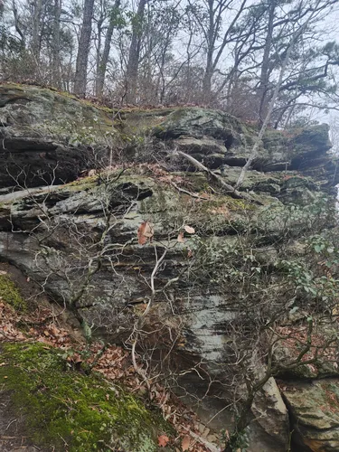 Best Hikes and Trails in Christmas Rocks Nature Preserve | AllTrails