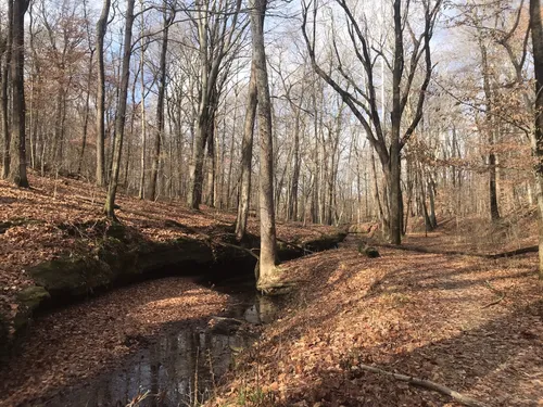 Best Hikes and Trails in Vincennes | AllTrails
