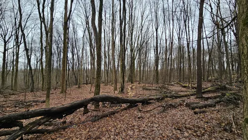 Best Hikes and Trails in Frohring Meadows | AllTrails