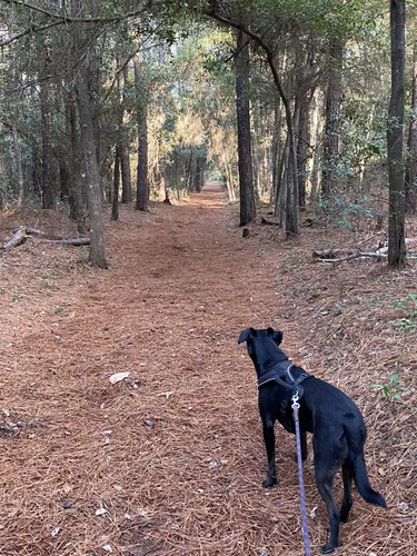 Best Hikes and Trails in Fort Raleigh National Historic Site | AllTrails