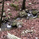 Lake Ouachita Vista Trail (LOViT), Arkansas - 85 Reviews, Map | AllTrails