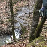 Lake Ouachita Vista Trail (LOViT), Arkansas - 85 Reviews, Map | AllTrails