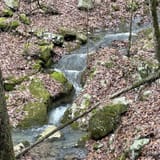 Lake Ouachita Vista Trail (LOViT), Arkansas - 85 Reviews, Map | AllTrails