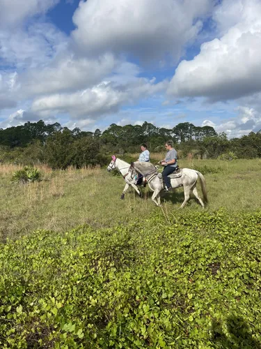 Best Hikes and Trails in Bluefield Preserve | AllTrails