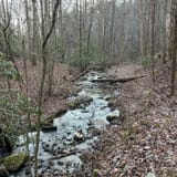 Long Branch Loop Trail, Georgia - 2,119 Reviews, Map | AllTrails