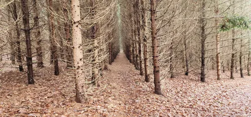 Best Hikes and Trails in Machimoodus State Park | AllTrails