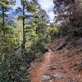 Madera Canyon Nature Trail, Arizona - 1,070 Reviews, Map | AllTrails