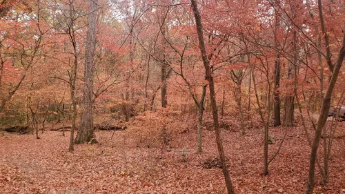 Best Hikes and Trails in Berry College Nature Preserve | AllTrails