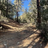 Cooper Creek Trail, Arizona - 84 Reviews, Map | AllTrails
