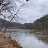Laurel River Trail, North Carolina - 1,383 Reviews, Map | AllTrails