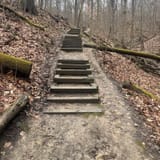 Salt Run, Ohio - 1,174 Reviews, Map | AllTrails