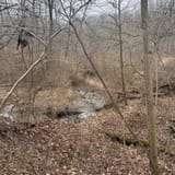 Salt Run, Ohio - 1,174 Reviews, Map | AllTrails