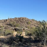 Signal Hill Trail, Arizona - 1,162 Reviews, Map | AllTrails
