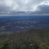 Flat Top Mountain via Flat Top Trail, Virginia - 465 Reviews, Map ...
