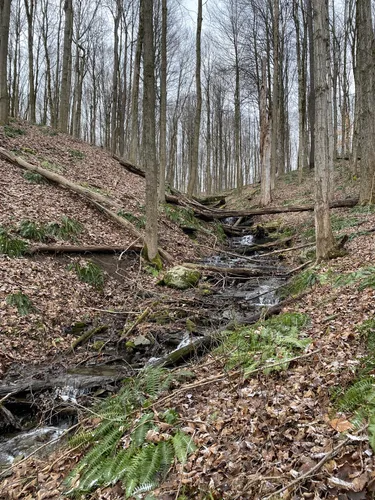 Best Hikes and Trails in Groton Park | AllTrails