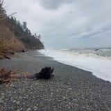 Ruby Beach, Washington - 1,440 Reviews, Map | AllTrails