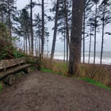 Ruby Beach, Washington - 1,440 Reviews, Map | AllTrails