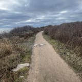Black Point Trail, Rhode Island - 797 Reviews, Map | AllTrails