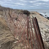 Black Point Trail, Rhode Island - 797 Reviews, Map | AllTrails