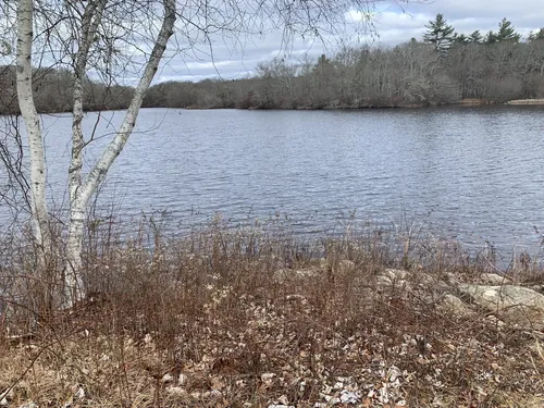 Best Hikes and Trails in Simmons Mill Pond Management area | AllTrails