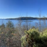 Fonta Flora Trail Loop, North Carolina - 1,583 Reviews, Map | AllTrails