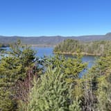 Fonta Flora Trail Loop, North Carolina - 1,583 Reviews, Map | AllTrails