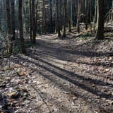 Fonta Flora Trail Loop, North Carolina - 1,583 Reviews, Map | AllTrails