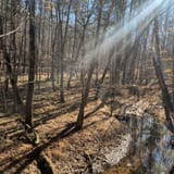 Dam Road, Issaqueena, Rocky and Collarbone Trail, South Carolina ...
