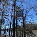 Dam Road, Issaqueena, Rocky and Collarbone Trail, South Carolina ...