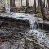Mount Ascutney via Weathersfield Trail, Vermont - 1,318 Reviews, Map ...