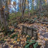 Japanese Gulch Loop Trail, Washington - 1,201 Reviews, Map | AllTrails