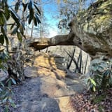 Princess Arch Trail, Kentucky - 1,204 Reviews, Map | AllTrails