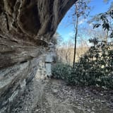 Princess Arch Trail, Kentucky - 1,204 Reviews, Map | AllTrails