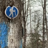 Boston Lot Lake, New Hampshire - 740 Reviews, Map | AllTrails