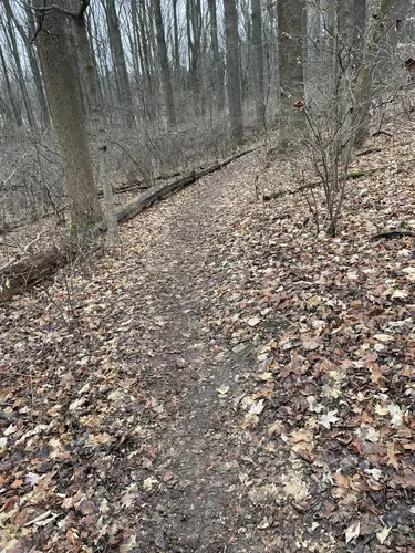 Best Hikes and Trails in Bushy Run Battlefield | AllTrails