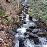 Alarka Creek Falls, North Carolina - 306 Reviews, Map | AllTrails