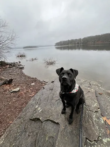 Best Hikes and Trails in Shuman Point Natural Area | AllTrails
