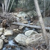 Wheeler Gorge Nature Trail, California - 71 Reviews, Map | AllTrails