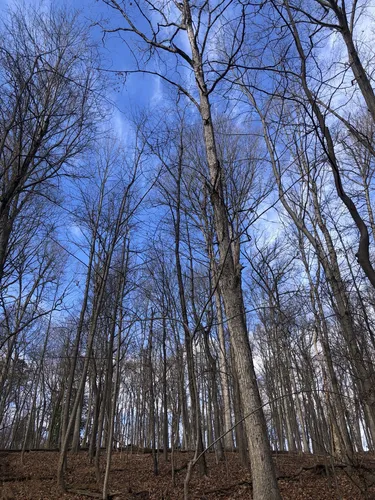 Best Hikes and Trails in Oak Ridge Conservation Park | AllTrails