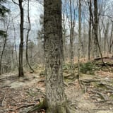 Mount Major via Brook and Main Trail Loop, New Hampshire - 5,283 ...