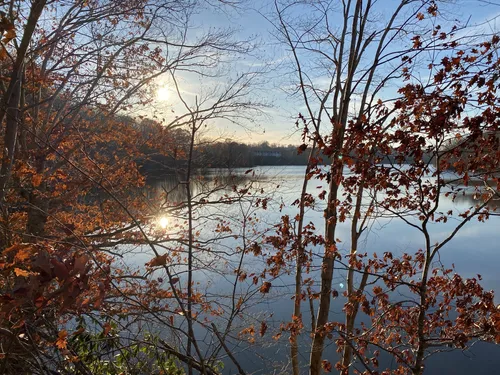 Best Hikes and Trails in Lake Ridge Community Park | AllTrails