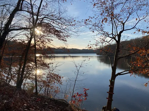 Best Hikes and Trails in Lake Ridge Community Park | AllTrails