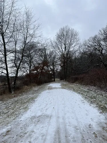 Best Hikes and Trails in Camrock County Park | AllTrails