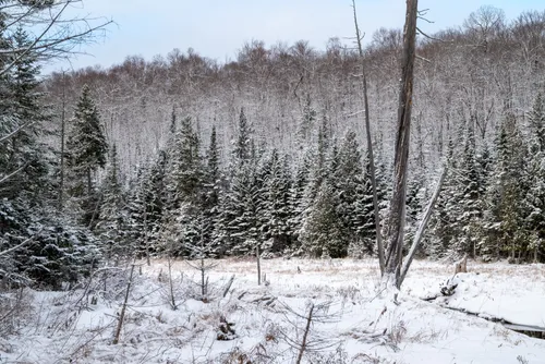 Best Beach Trails in Saint-Alexis-des-Monts | AllTrails