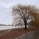Charles River Pathway Short Loop, Massachusetts - 1,033 Reviews, Map ...