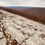 Jackson Trail, Pennsylvania - 196 Reviews, Map | AllTrails