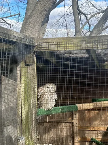 Best Hikes and Trails in Howard County Conservancy | AllTrails